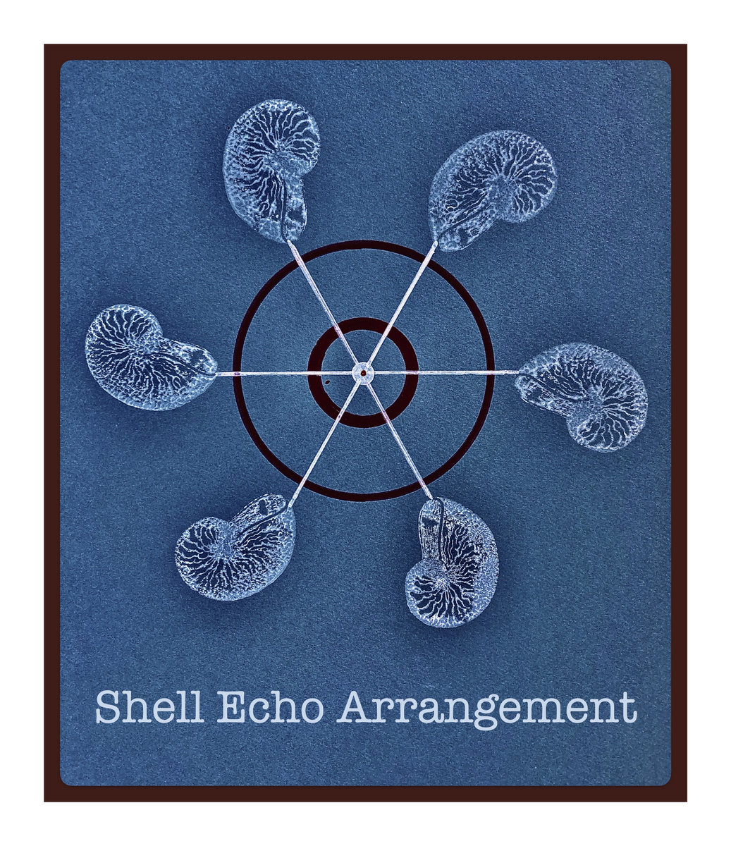 Windblown Sound | Shell Echo Arrangement