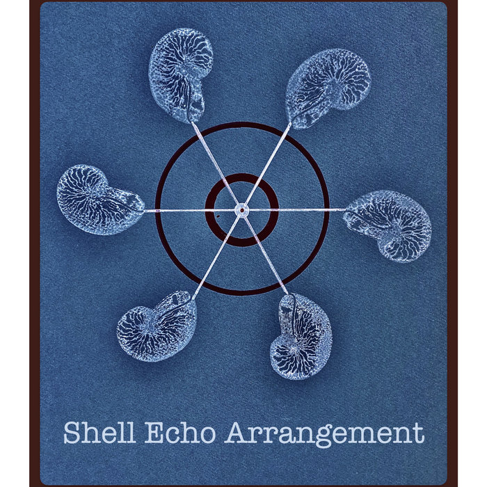 Windblown Sound | Shell Echo Arrangement