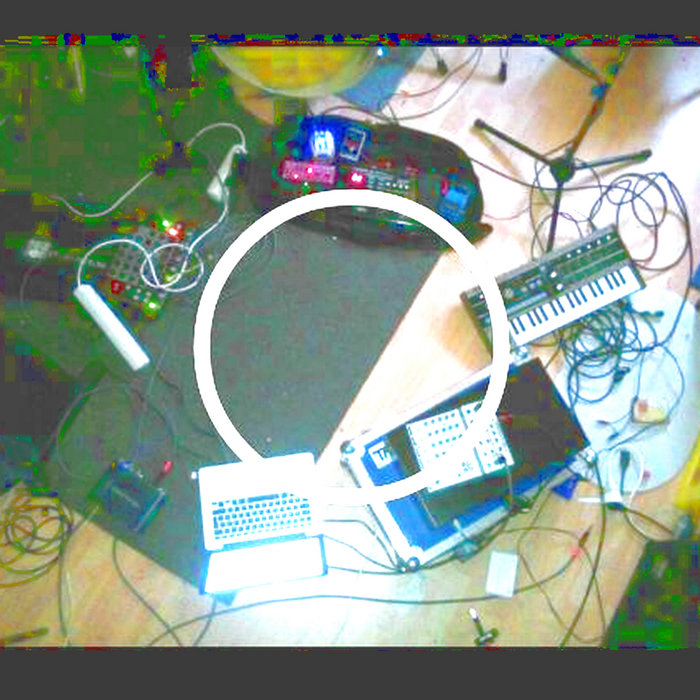 Mouse Utopia Experiments | Florian Illing