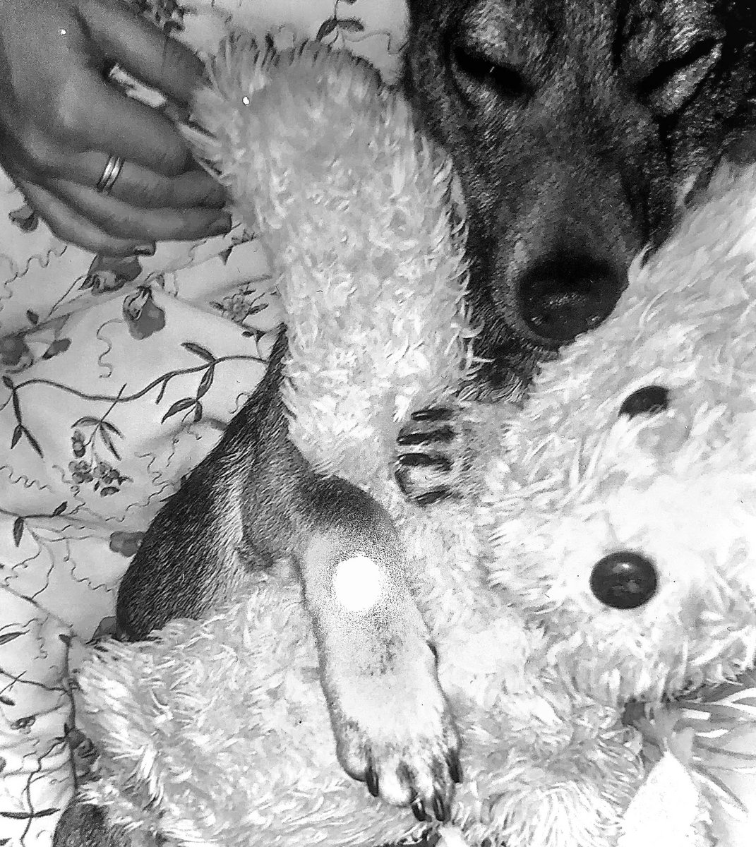 TISKO - Home EP | TISKO