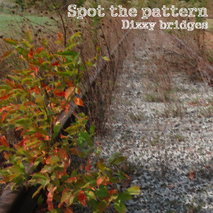 Spot the pattern | Dizzy bridges