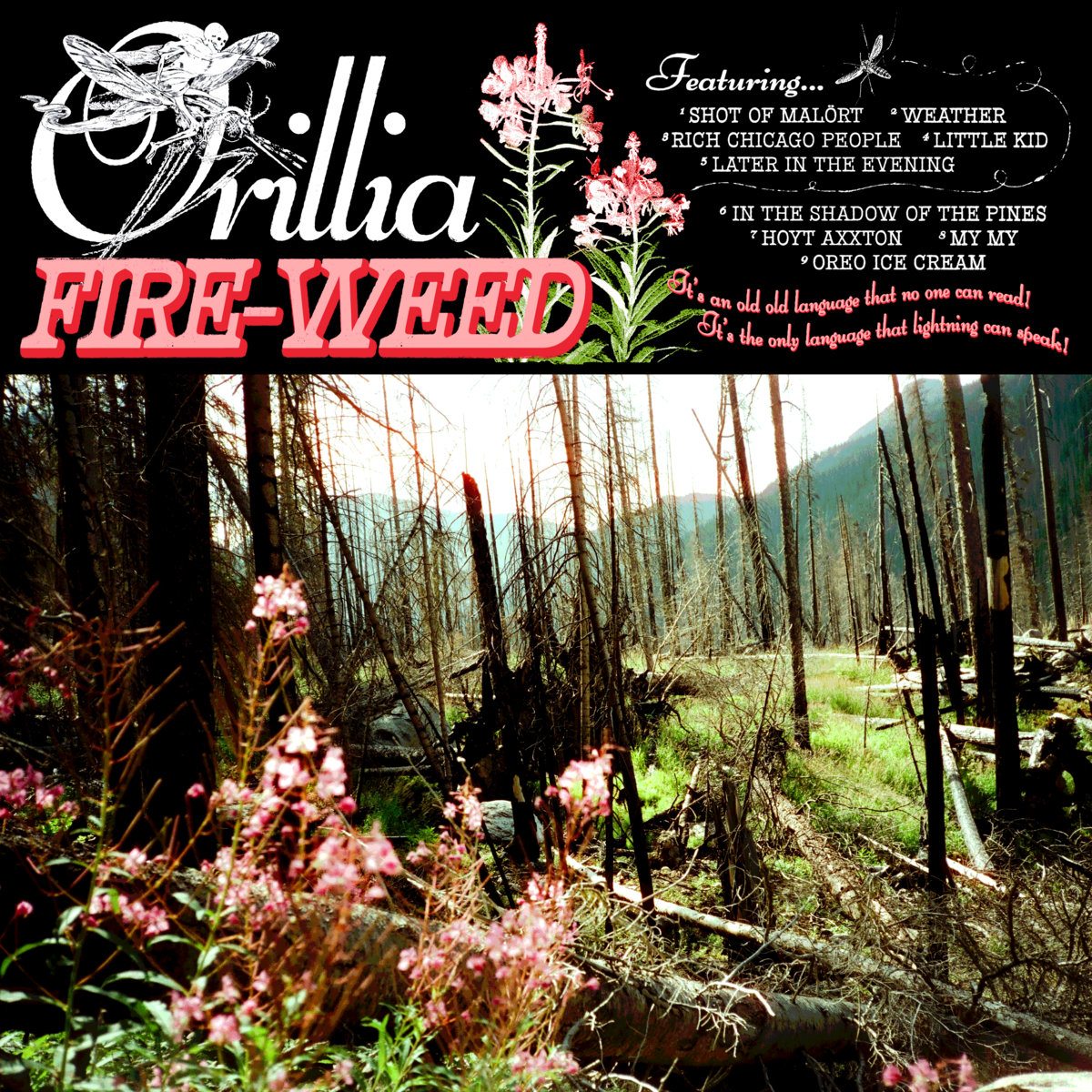 FIRE-WEED | Orillia