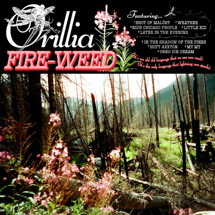 FIRE-WEED | Orillia