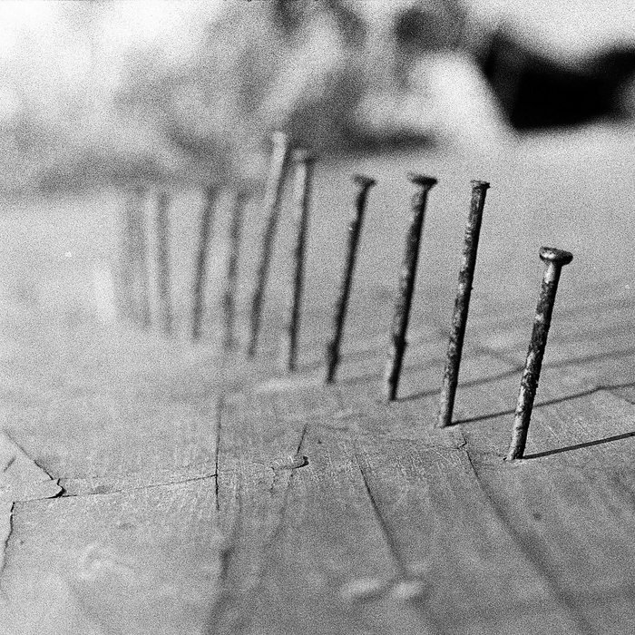 Nails | Blind Seagull | Other Voices Records