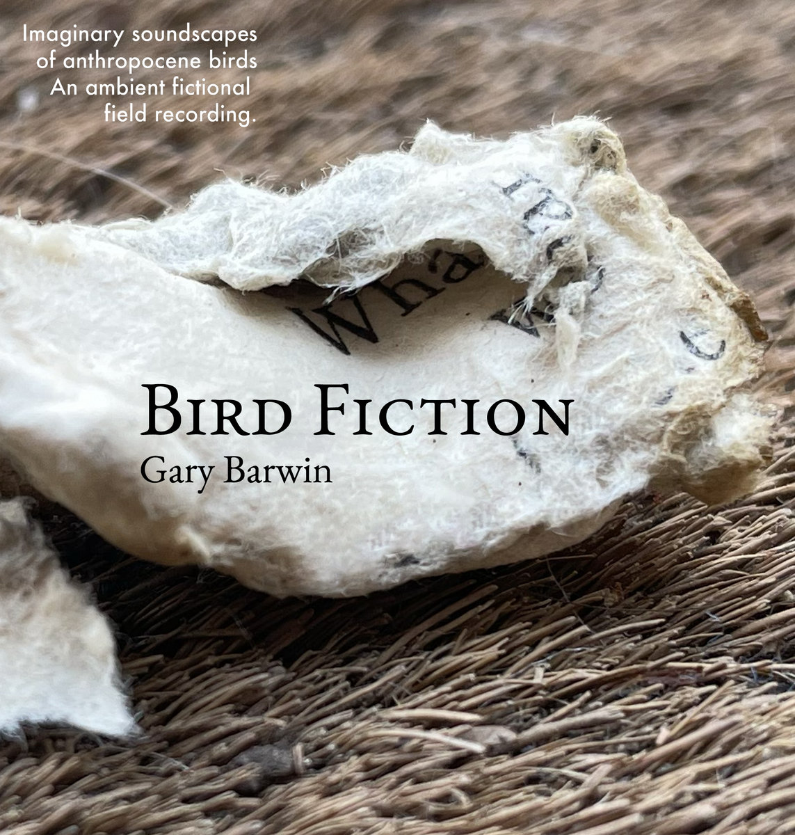 BIRD FICTION | Gary Barwin