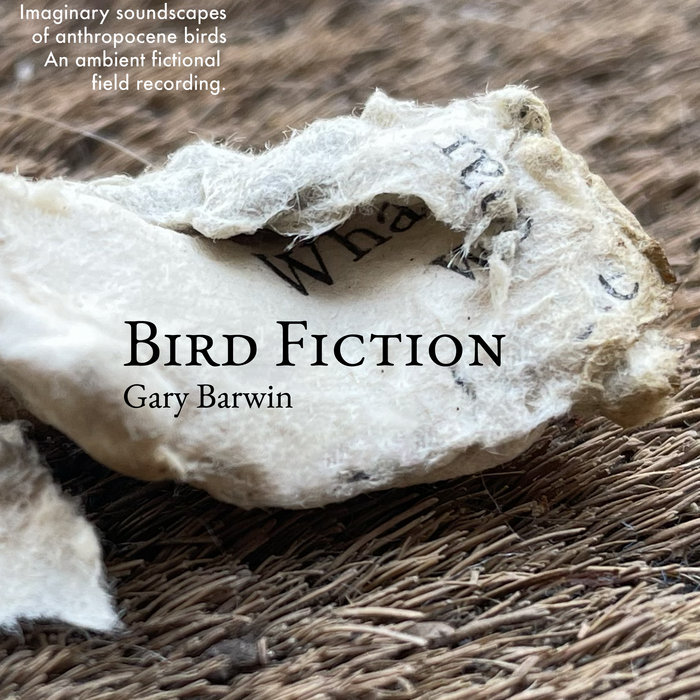 BIRD FICTION | Gary Barwin