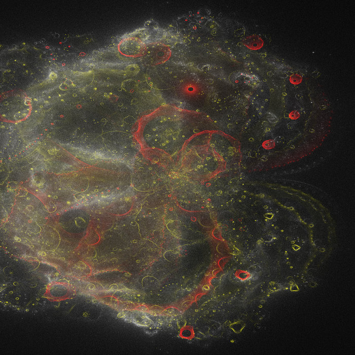 Wizard / Rust | Ballooning to Alaska