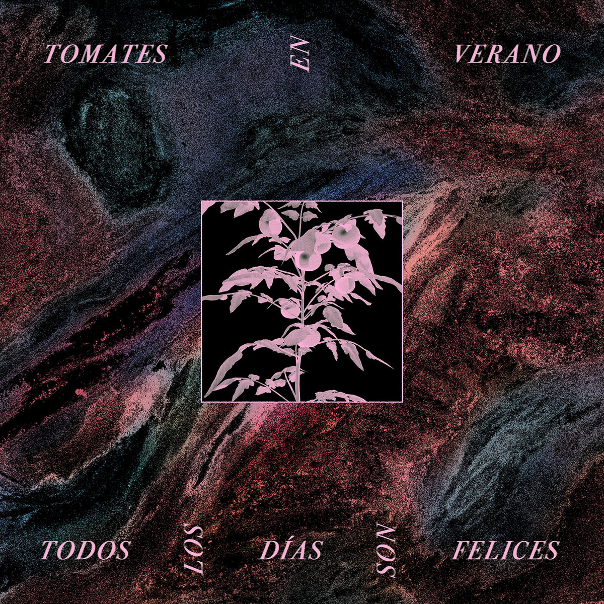 Todos los Días Son Felices | Tomates en Verano | Casa del Puente Discos