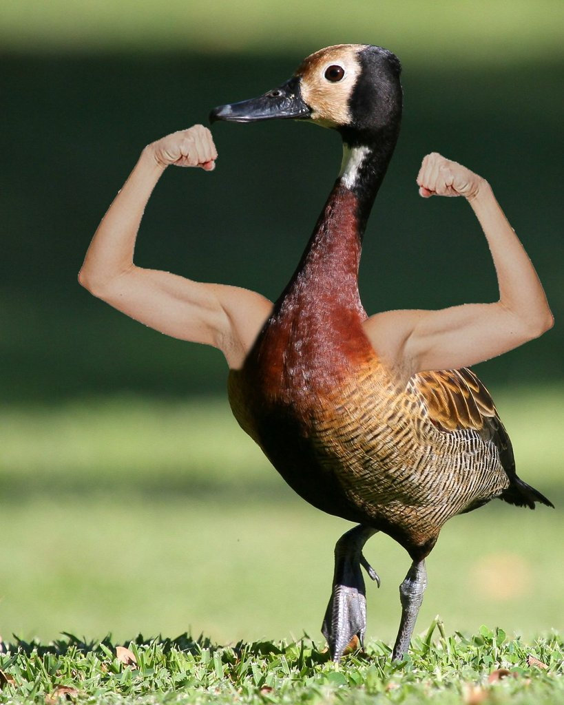 where eagles learn to fly | Ryan Hardesty, Troy Renner, Riley Murphy ...