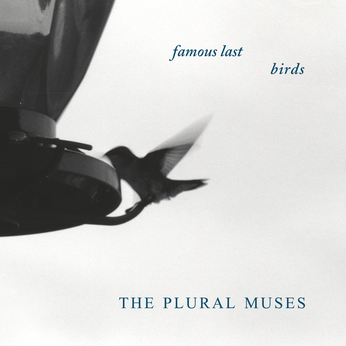 famous last birds | The BCC