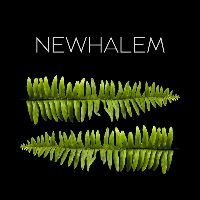 Newhalem | Newhalem