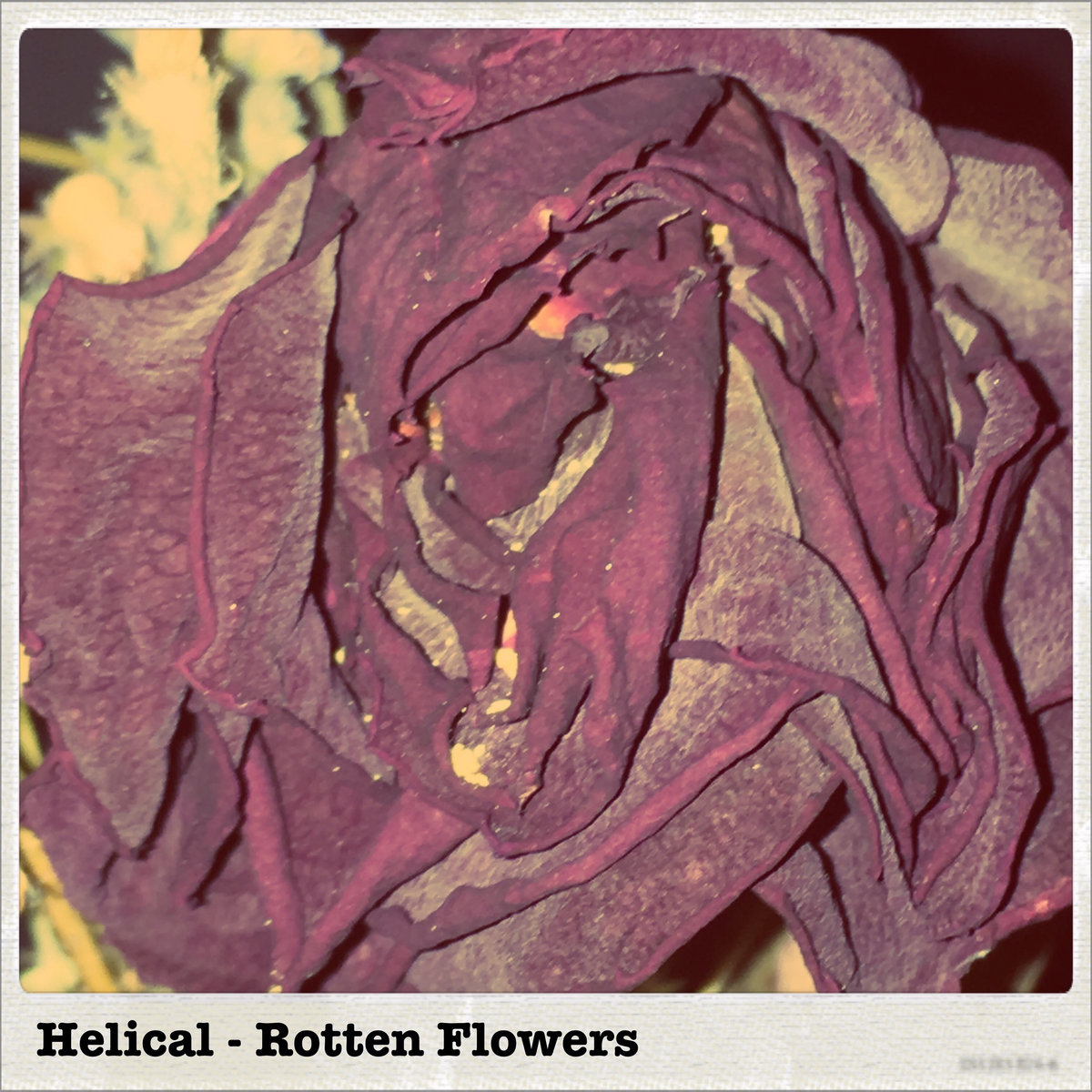 Rotten Flowers | Helical