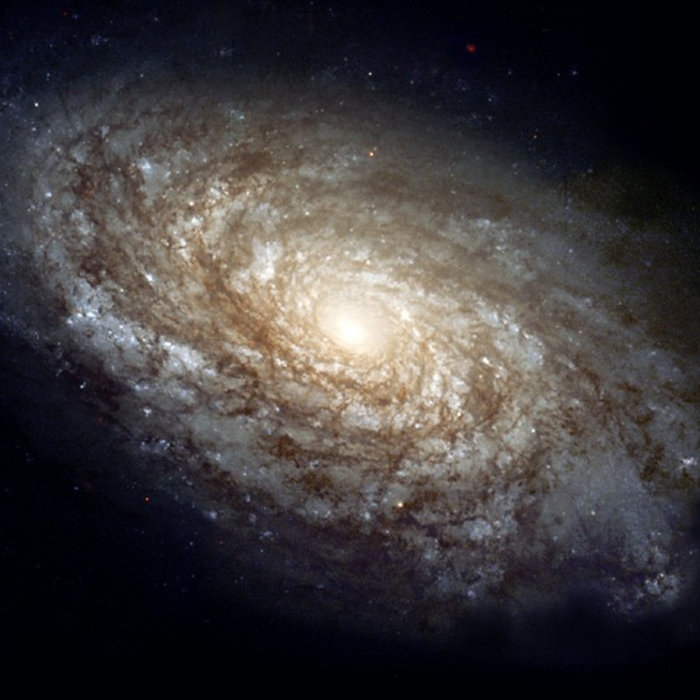 Different Galaxies ft. Sam Ock | Dumbfoundead