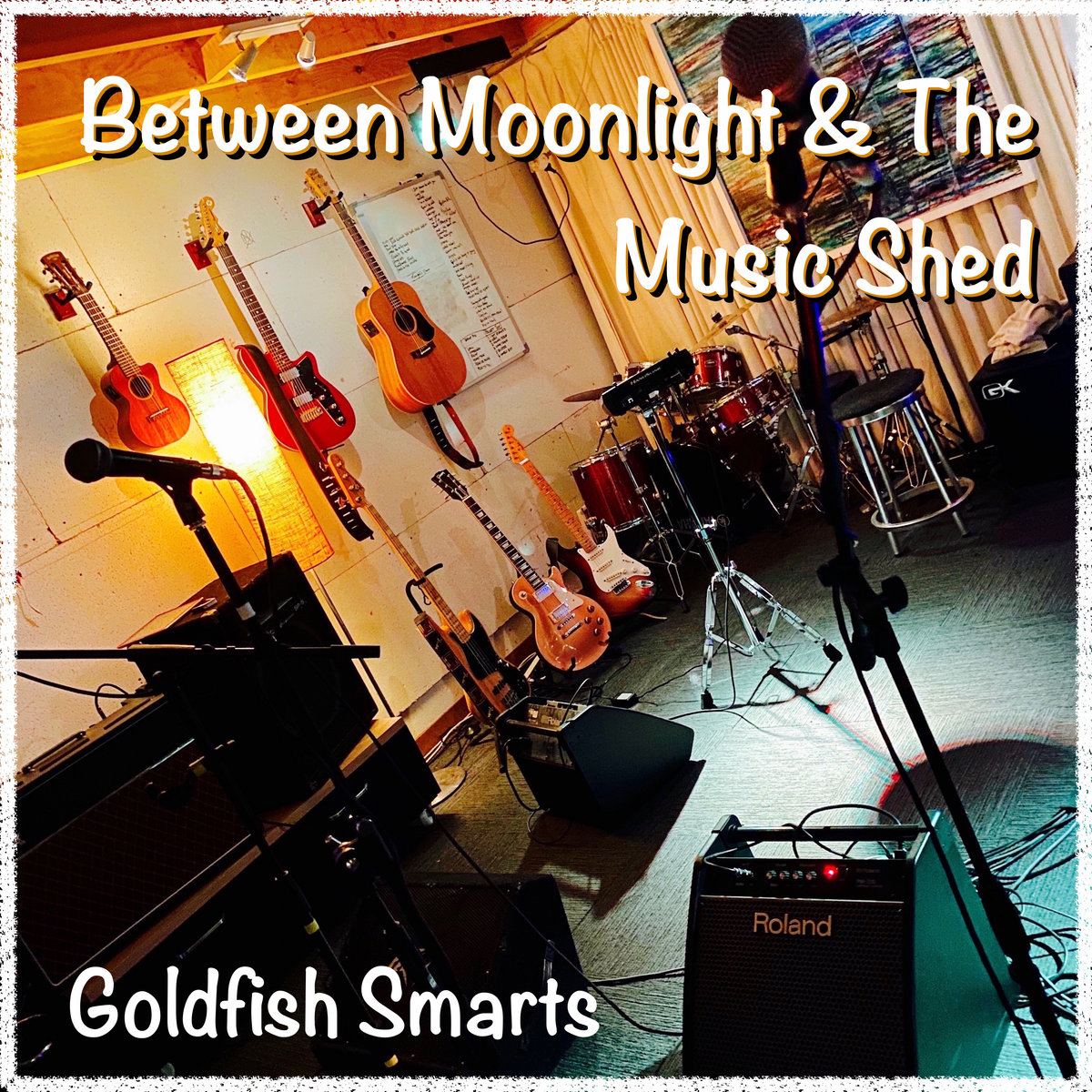 Between Moonlight & the Music Shed | Goldfish Smarts