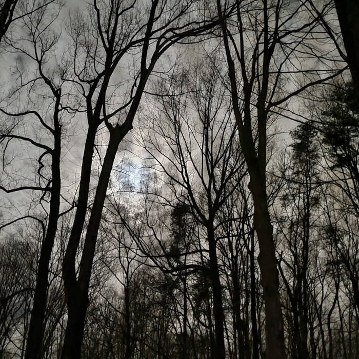 The Queen's Forest | Ken Lusk