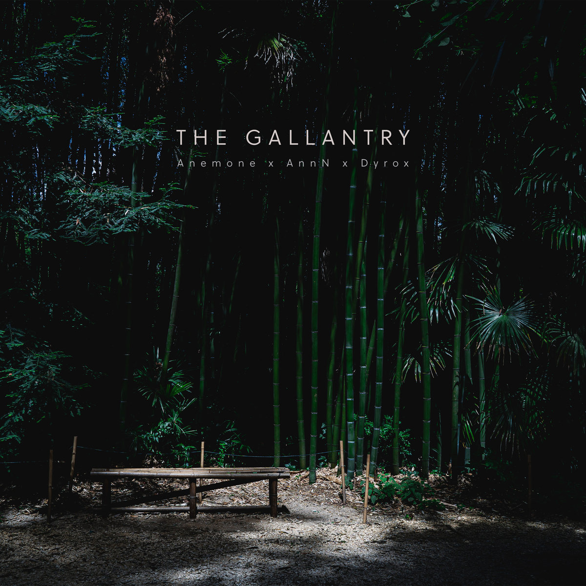 The Gallantry | Anemone x AnnD x Dyrox | Insight Music