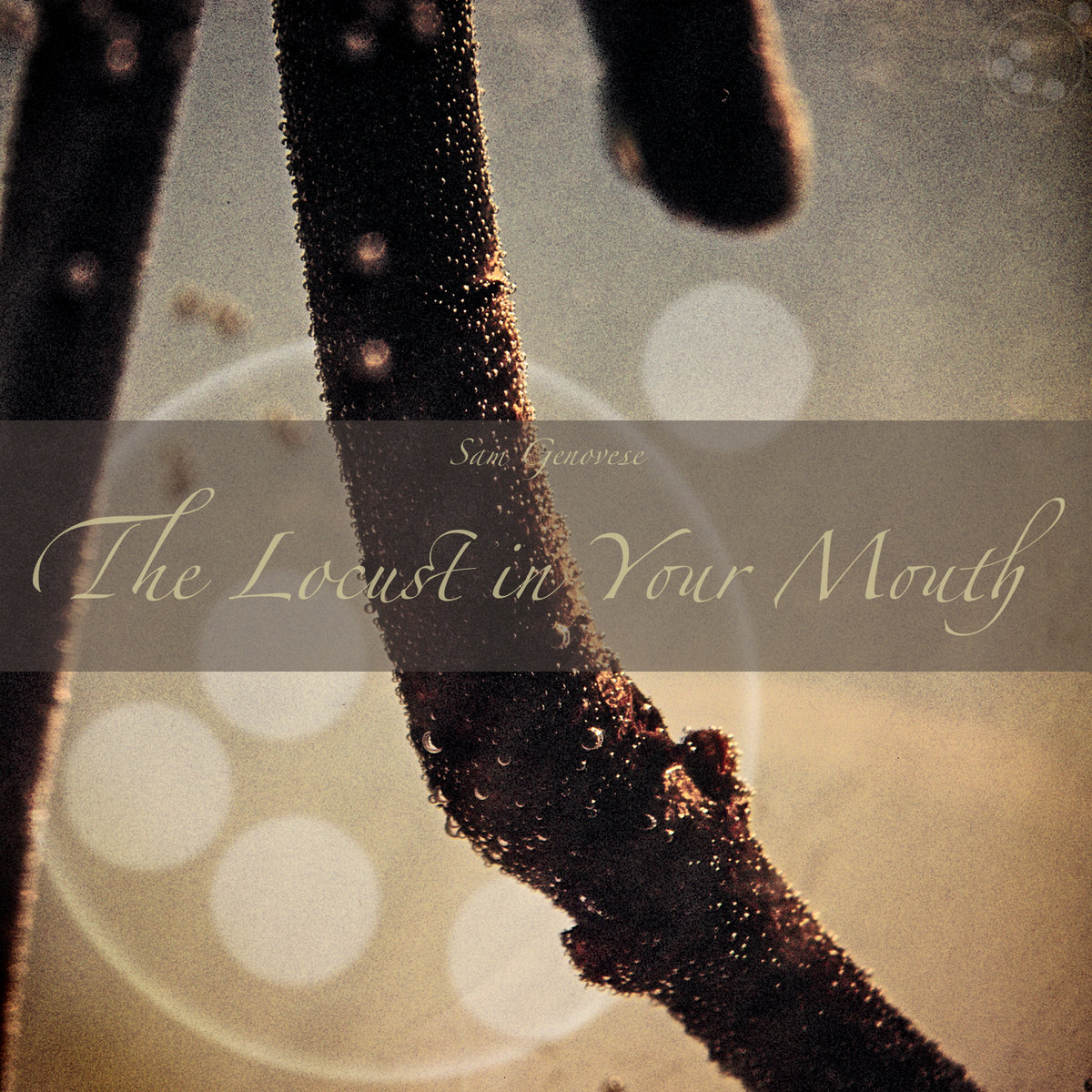 The Locust in Your Mouth | Sam Genovese