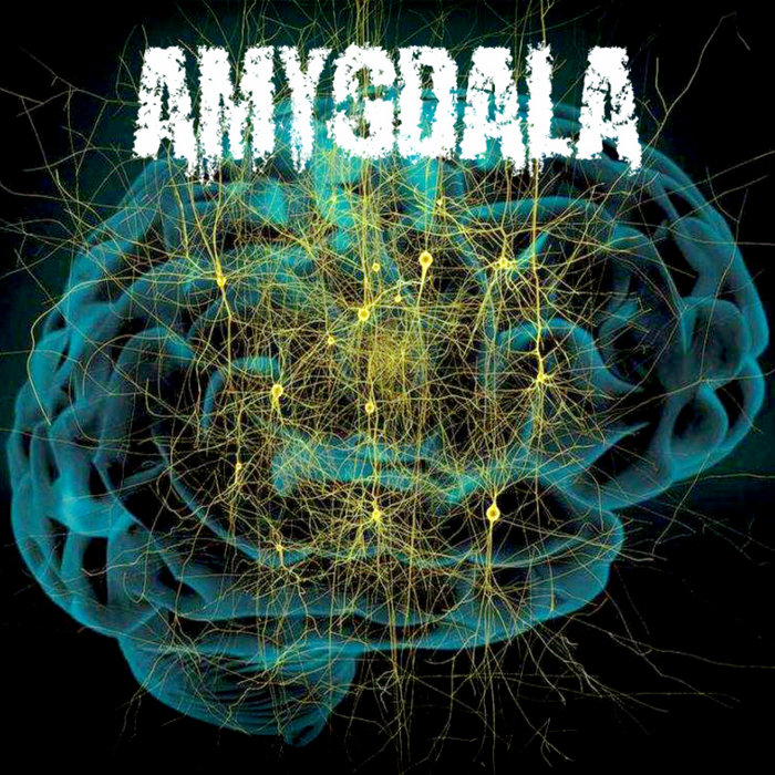 Amygdala | Dark Moon