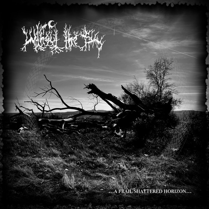 A Frail Shattered Horizon | Without the Sky