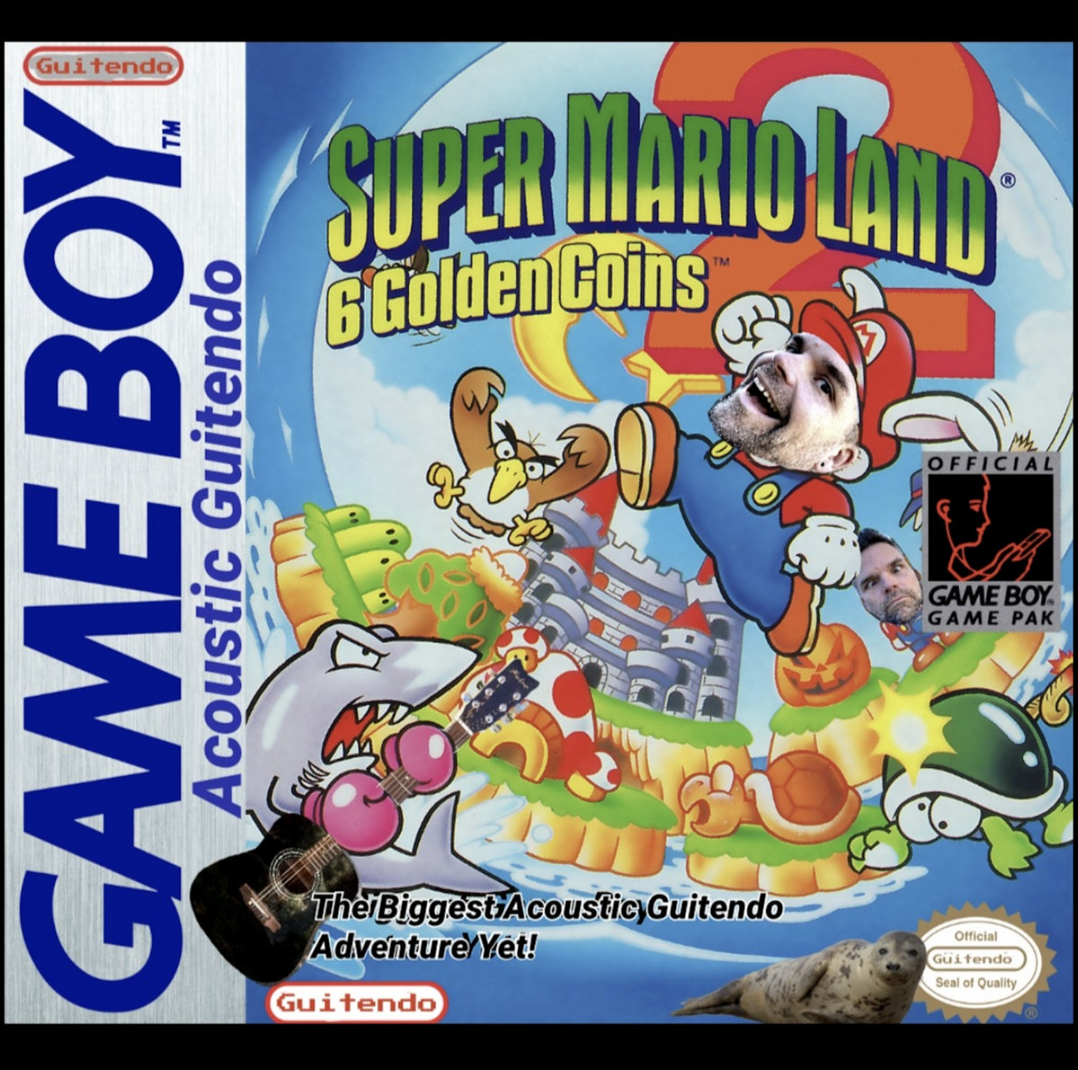 Super Mario Land 2: 6 Golden Coins | Acoustic Guitendo