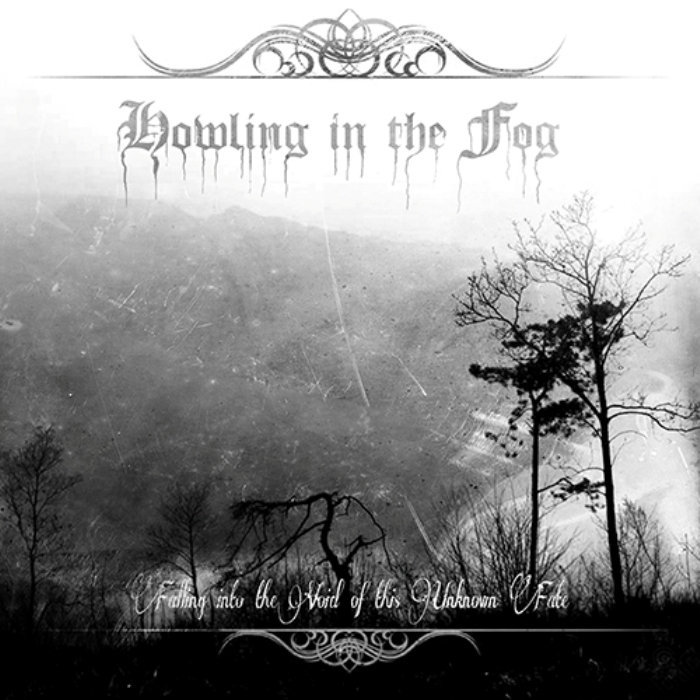 Falling Into The Void Of This Unknown Fate | Howling in the Fog ...