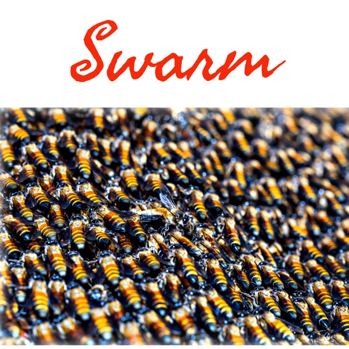 Swarm-Original Version | Adam west