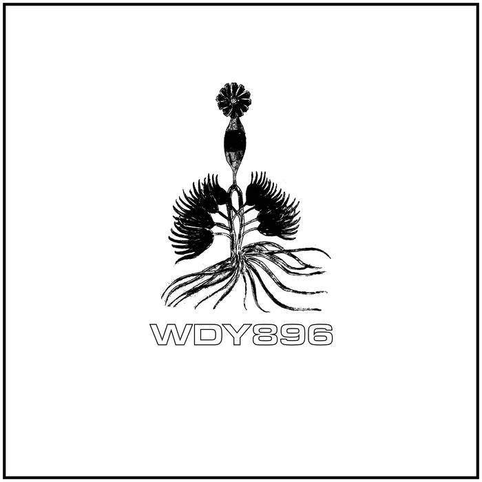 Eight Held Tones for the Northwall Firn | Brian Grainger