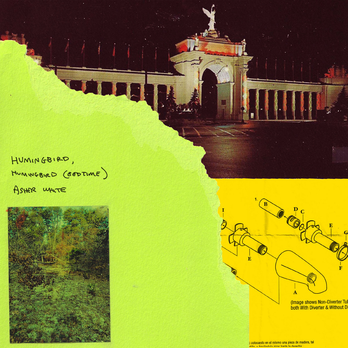 Humingbird | Asher White