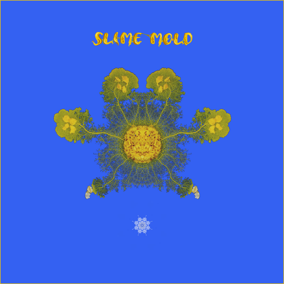 Slime Mold - Poem I - VII | V.A | Divinorum Studios