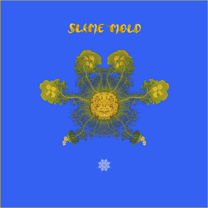 Slime Mold - Poem I - VII | V.A | Divinorum Studios