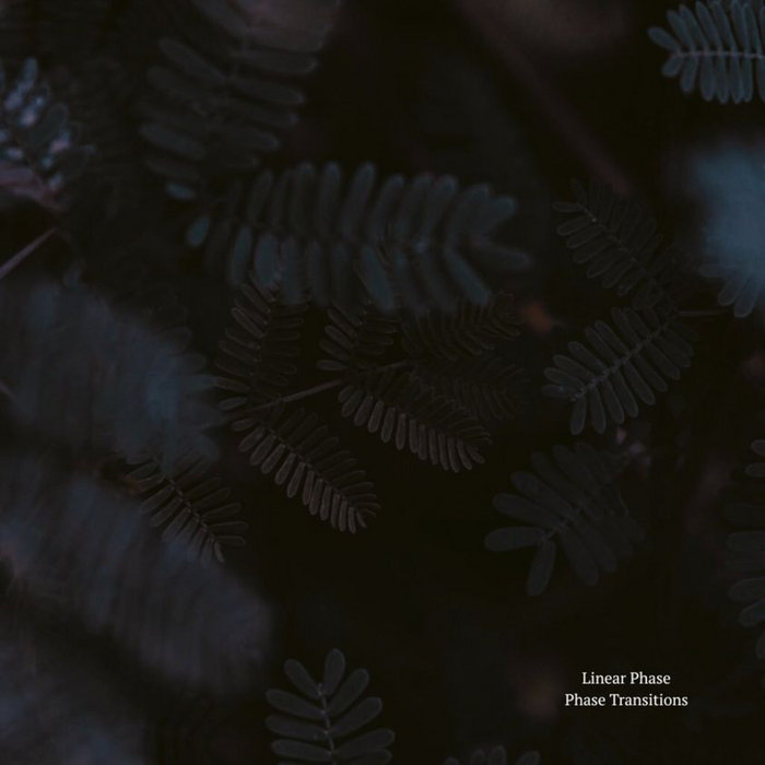 Linear Phase - Phase Transitions [Edit Select] | Linear Phase l Fading ...