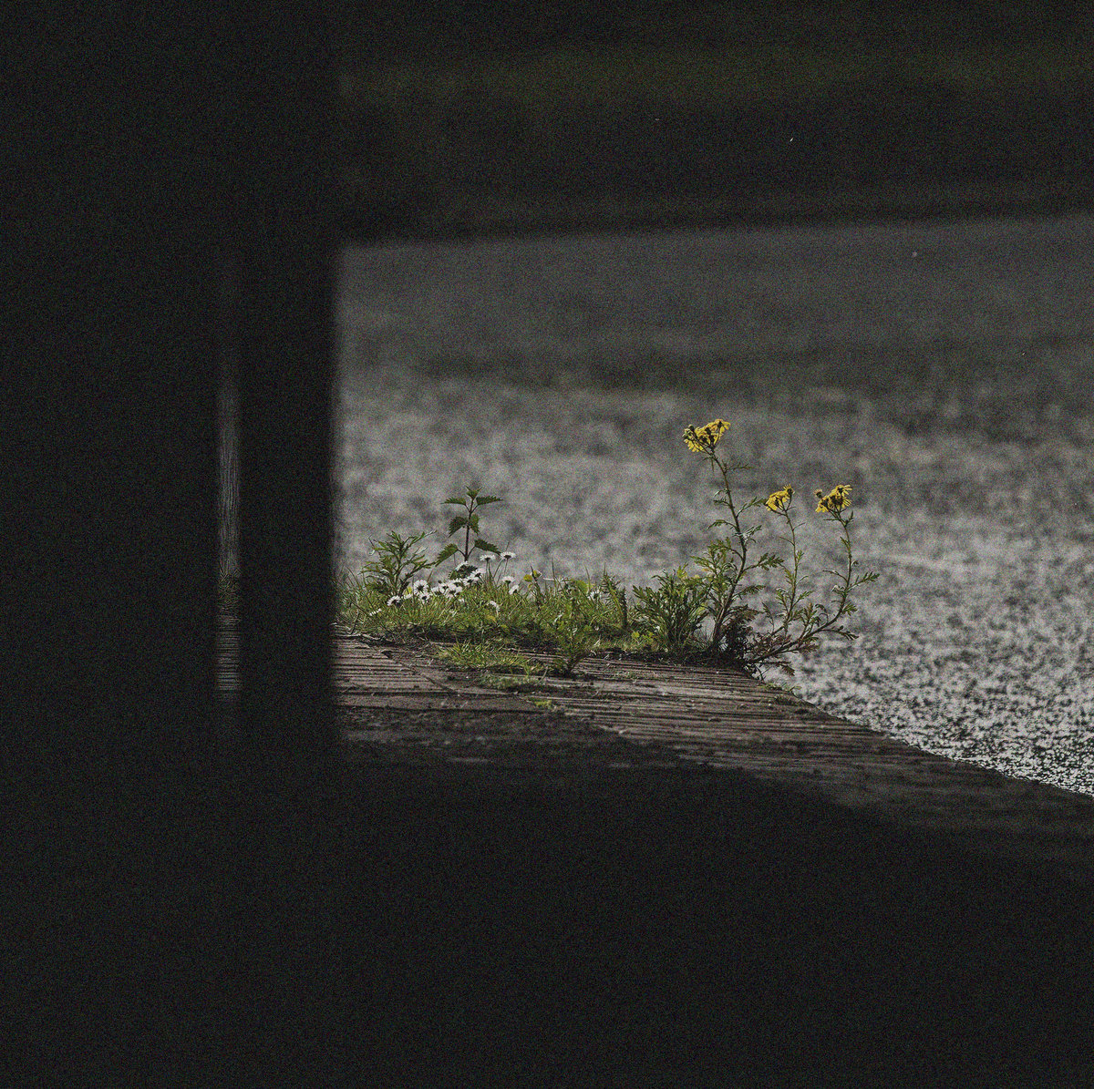 Hidden Canals | Conducive