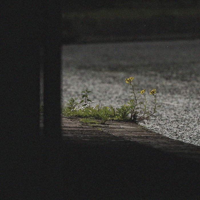 Hidden Canals Conducive