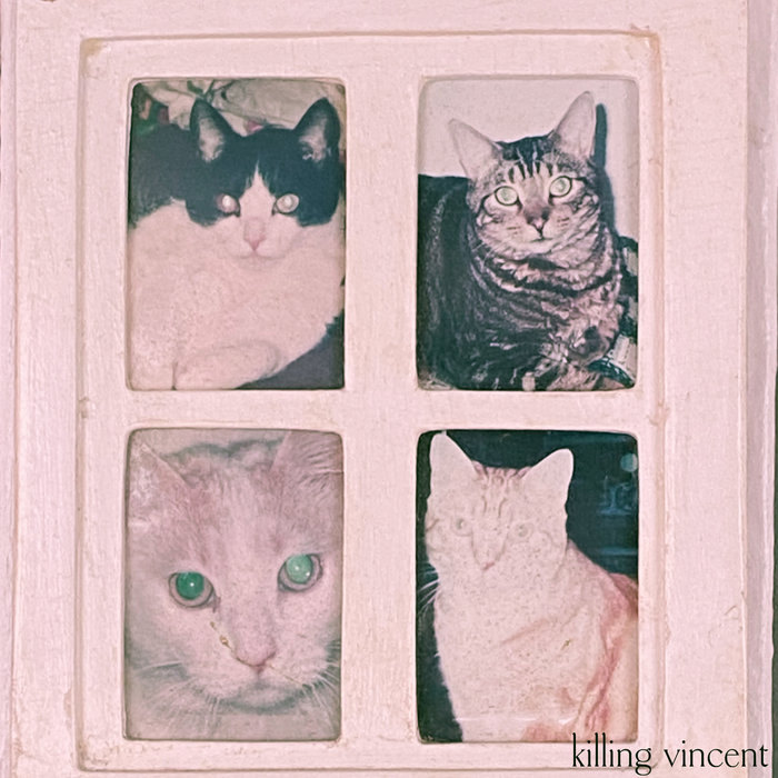 Something Must've Went Wrong | Killing Vincent