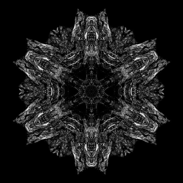 MMXIX - MMXXV | OWL