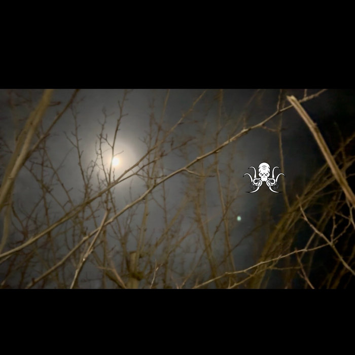 the winter, dream | neomono