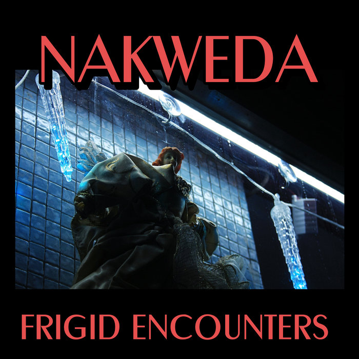 Frigid Encounters | Nakweda | Extraterrestrial Cat Lady