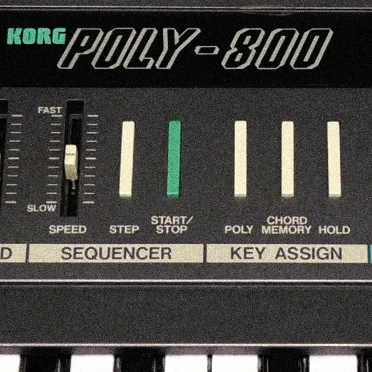 Korg Poly-800 Oneshot Sample Pack | Looma