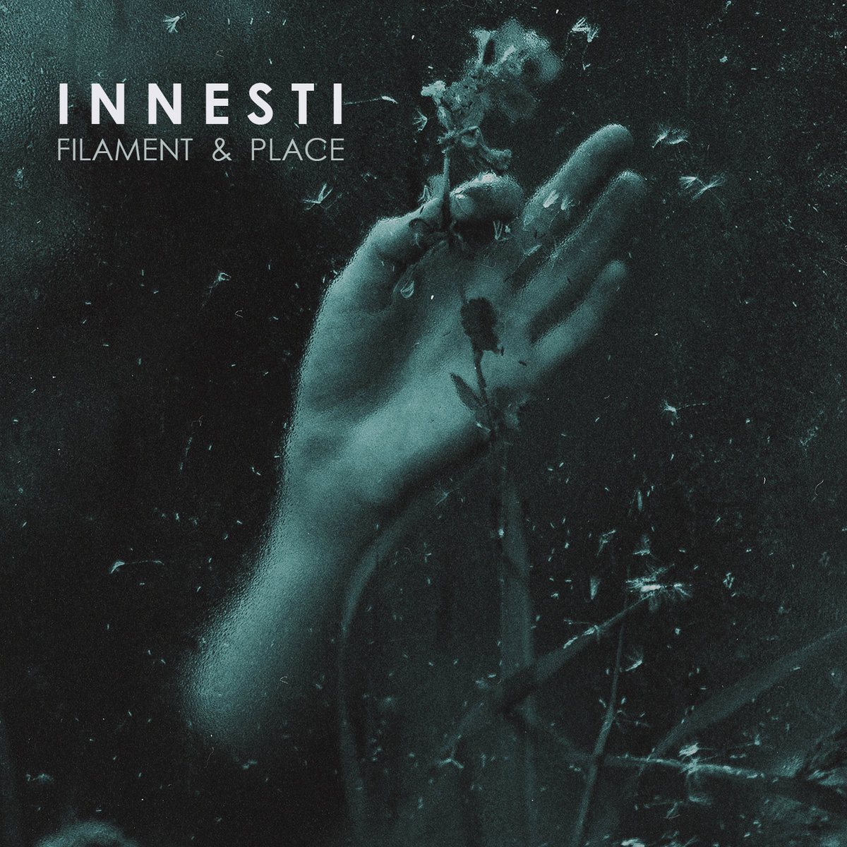 Filament and Place | Innesti