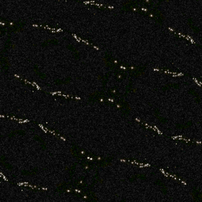 The Call | James Boland