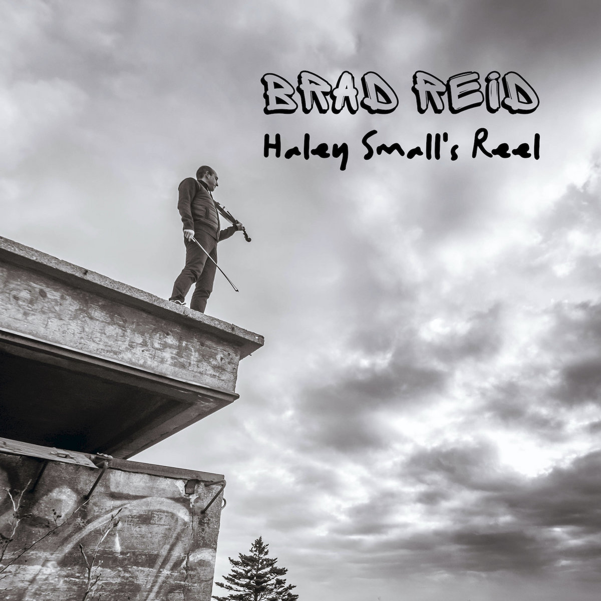 Haley Small's Reel - Single | Brad Reid