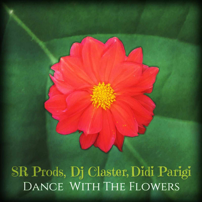 Dance With the Flowers | SR Prods, Dj Claster, Didi Parigi | DJ JPedroza
