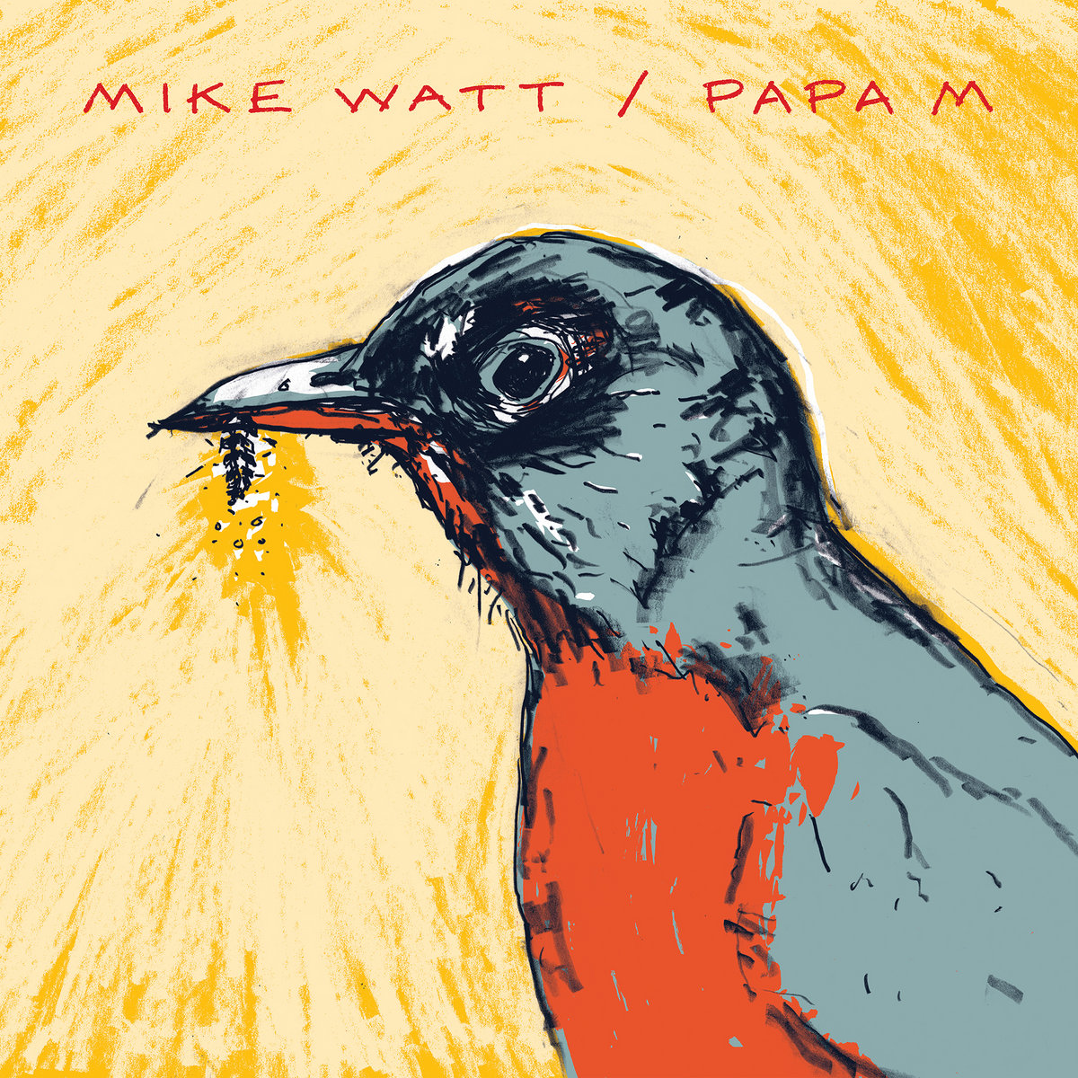 Mike Watt / Papa M | Mike Watt / Papa M | American Laundromat Records