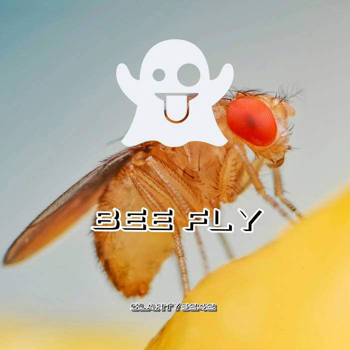 jamiechapman's collection | Bandcamp