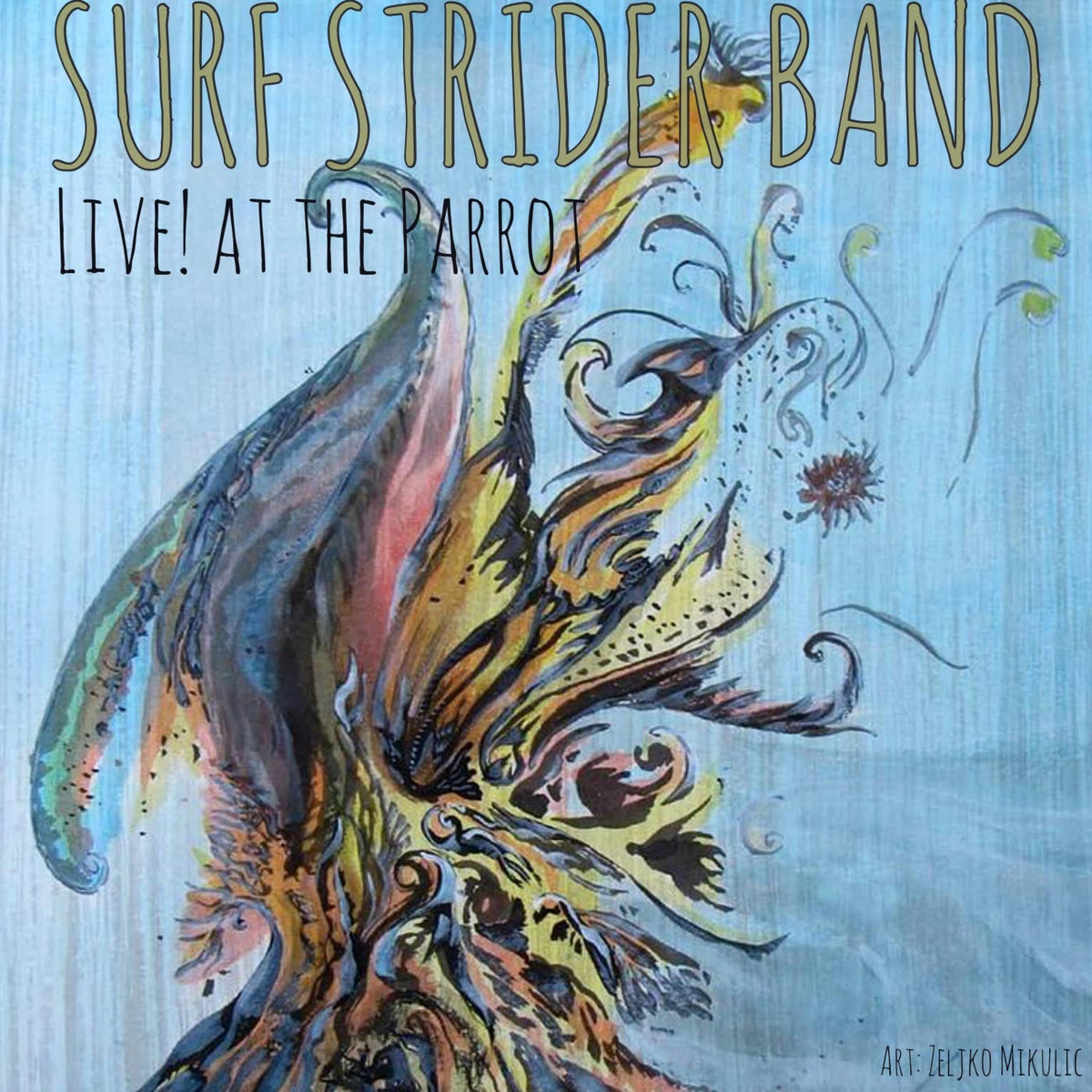 Surf Strider Band Live! at the Parrot | Surf Strider