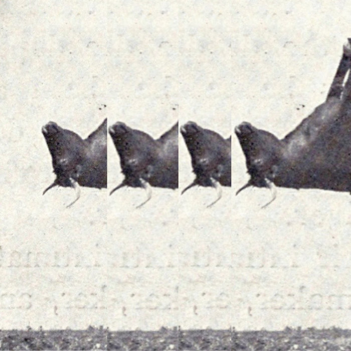 Flesh archive | Of Screaming Faith