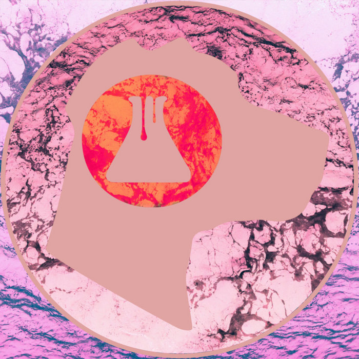 (Previously) Clean | Lost Chocolate Lab