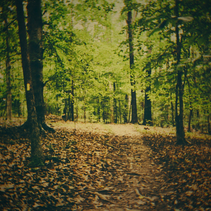 robintronics, vol. 2: dawn | Robin