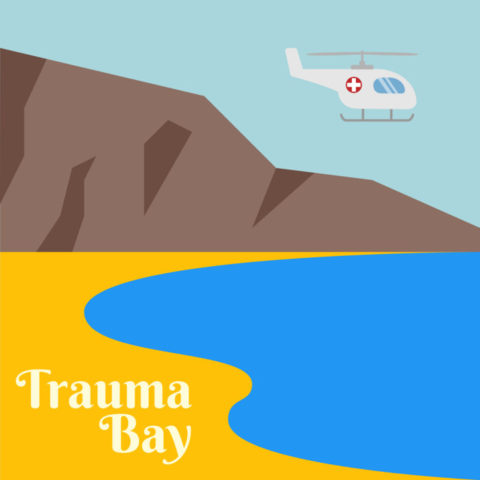 Trauma Bay | Katie Rottner
