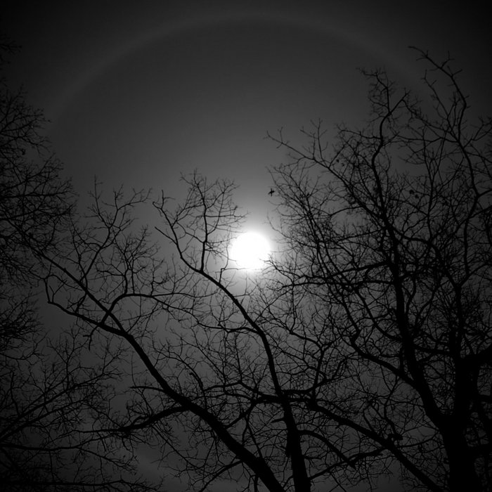 WATERBOW | David Bickley